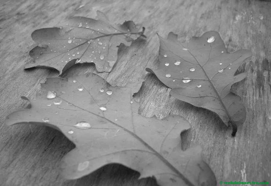 Simbología de los colores - Web del maestro