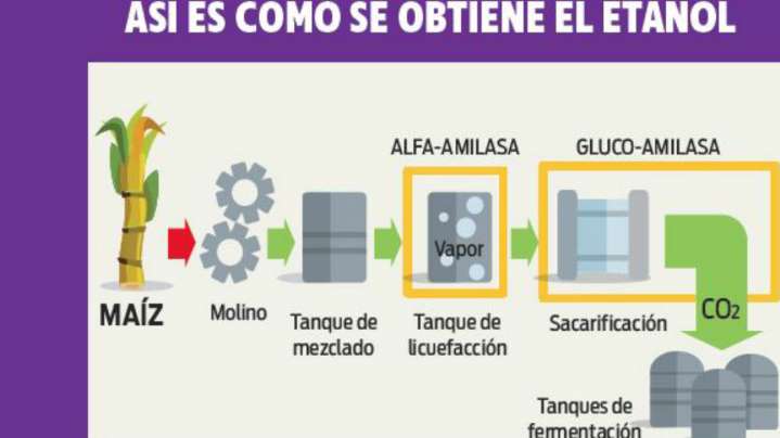 Etanol | Química | conocido como alcohol etílico | Wikisabio