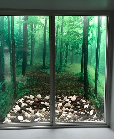 Basement Window Well Inserts - Openbasement