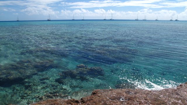 Minerva Reef | Wind Squirrel
