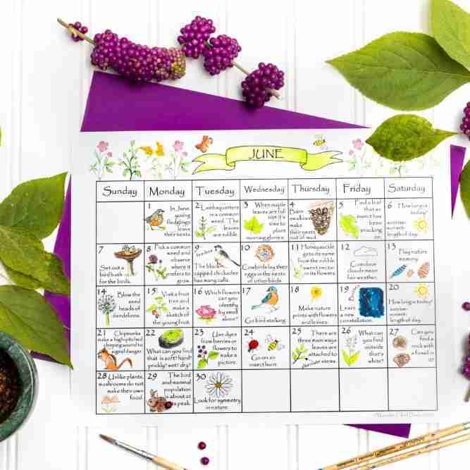 A Month in Nature Monthly Membership - Wonder-Filled Days