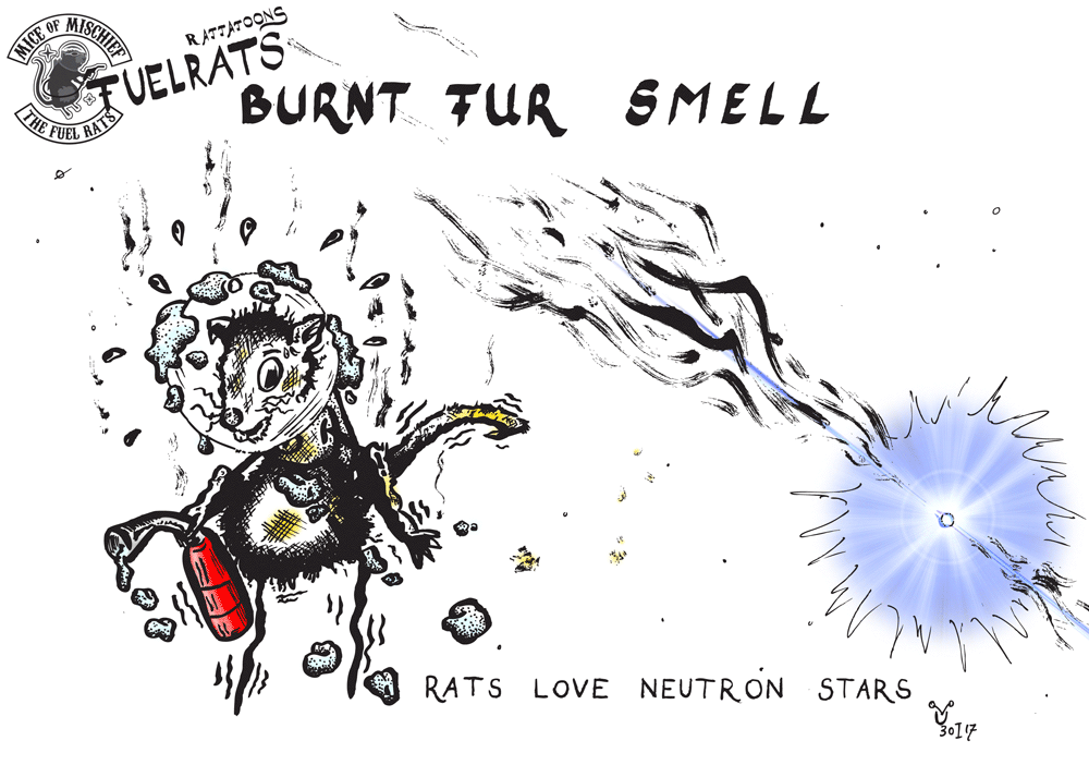 Blog | The Fuel Rats