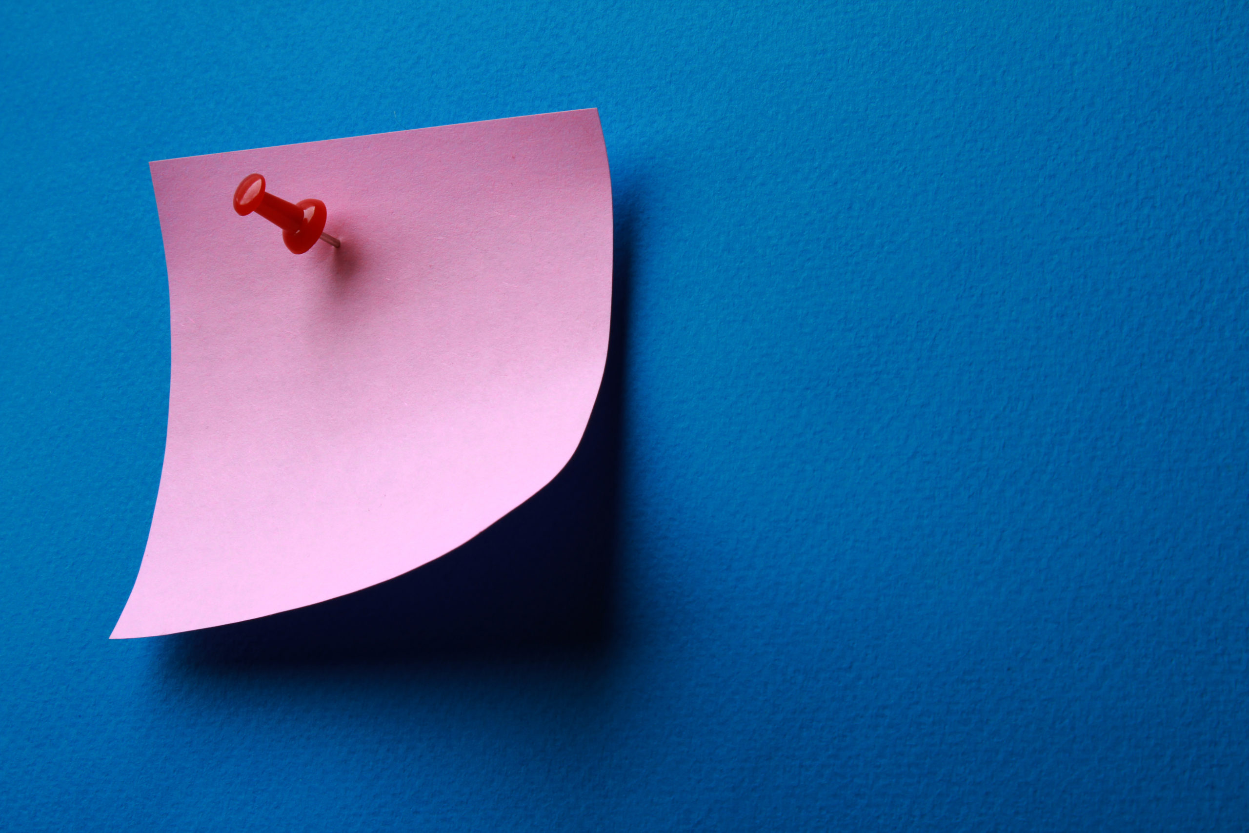 First Book Winner - Writer Ken