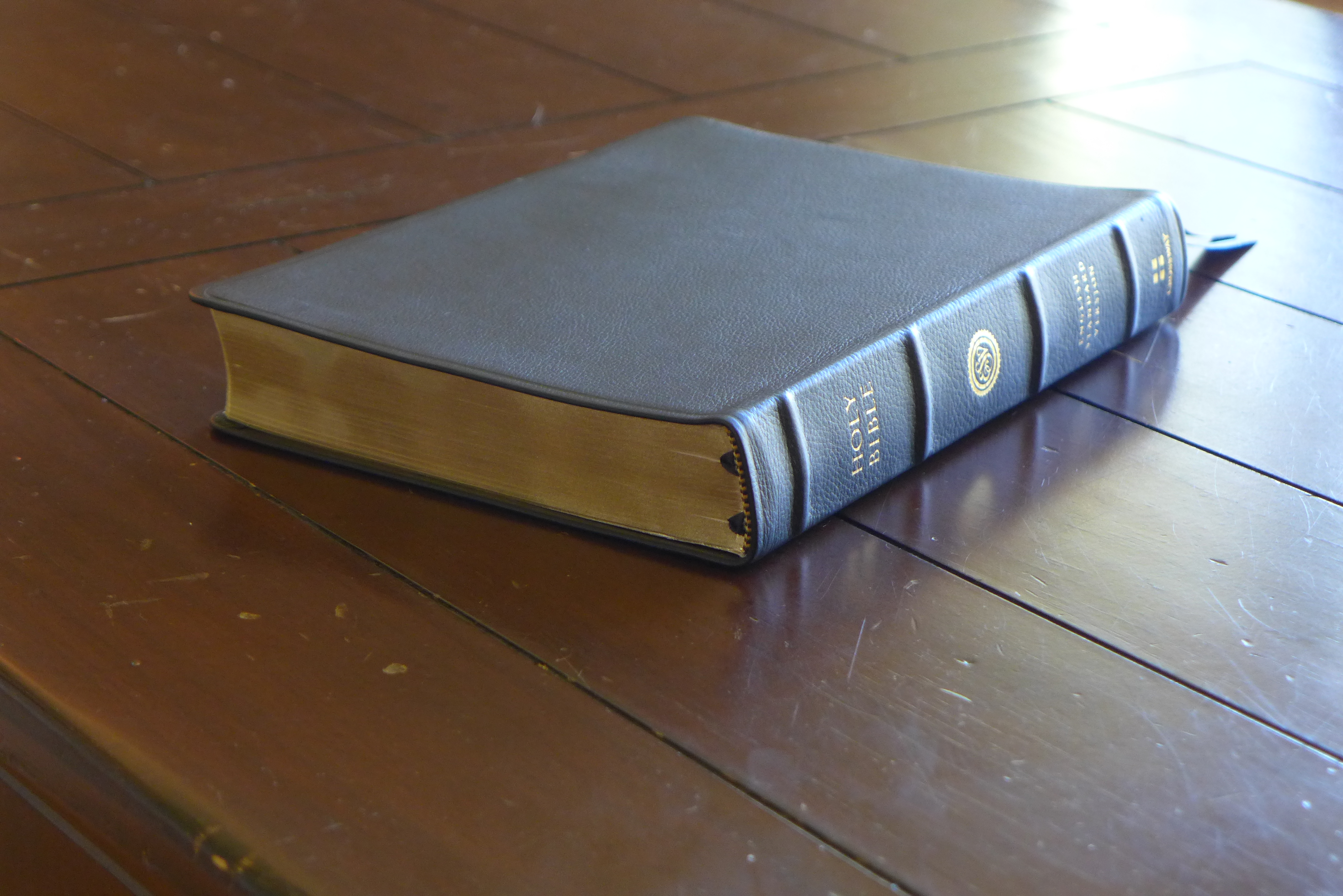 ESV Verse-by-Verse Reference Bible in Top Grain Leather – Holy Writ ...
