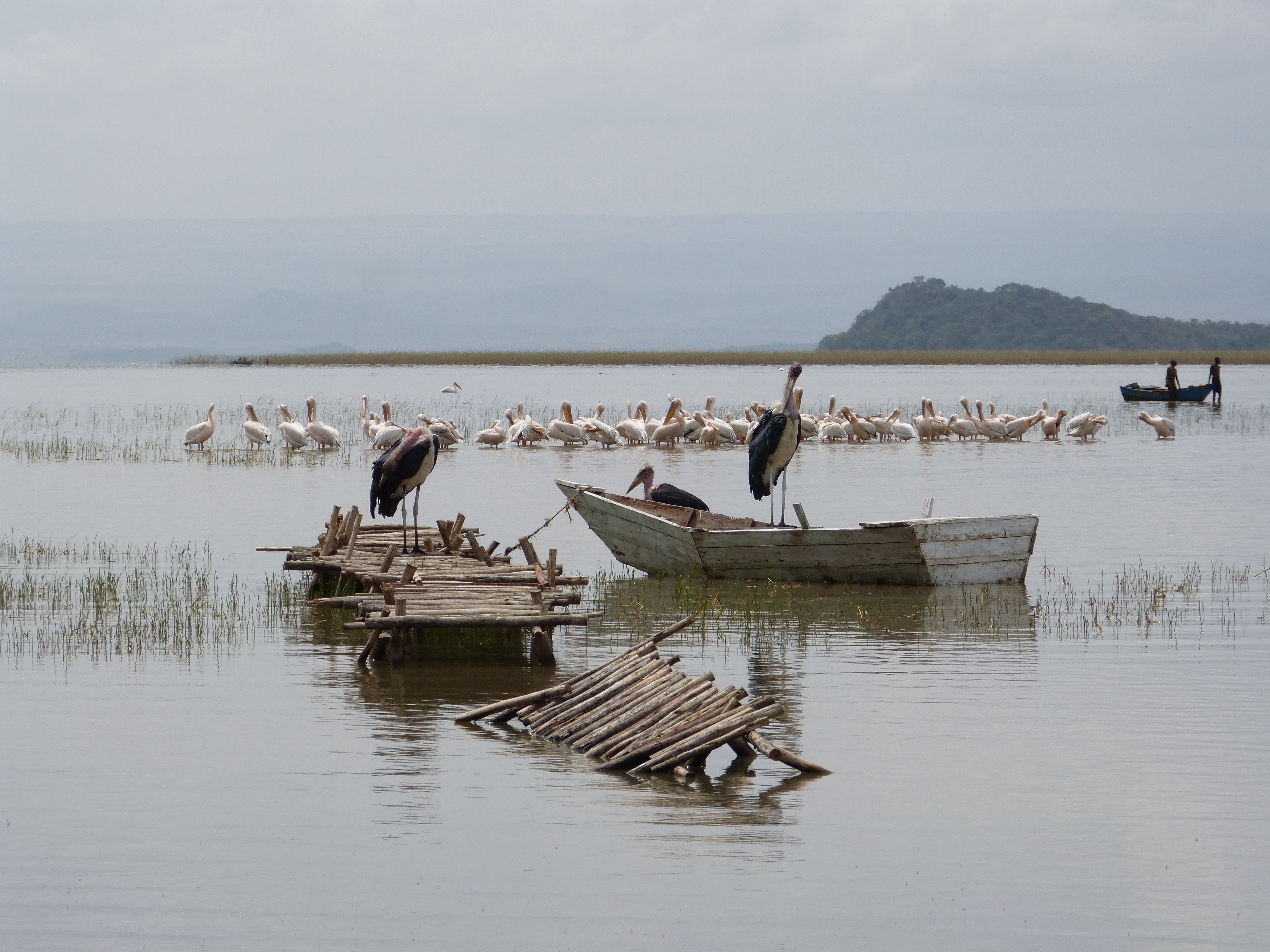 Living History in the Strange but Familiar Cultural Landscape of ...