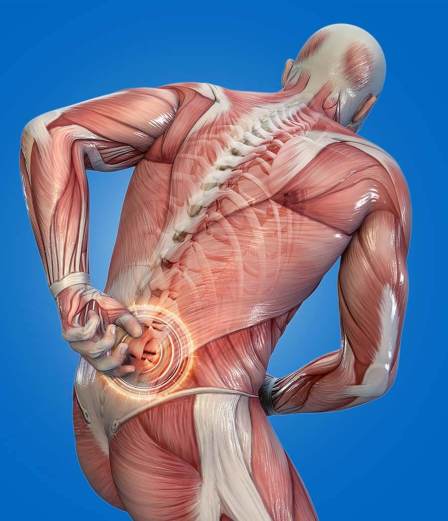 Severe Lower Back Pain 5 Of The Most Common Causes severe-lower-back-pain-5-of-the-most-common-causes