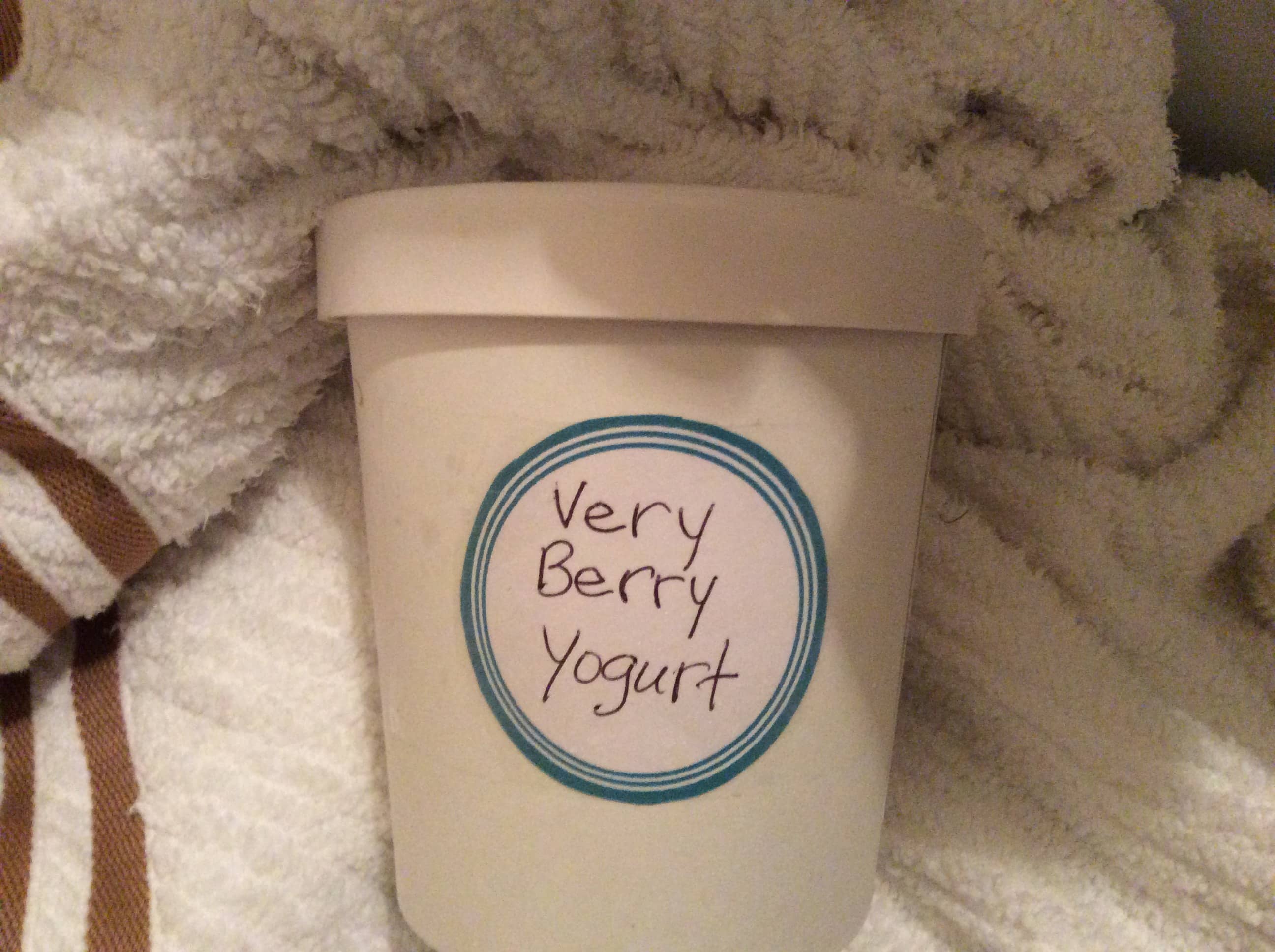 Homemade Frozen Yogurt Recipe (No Machine)