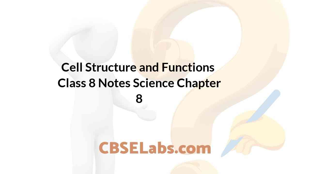 Cell Structure and Functions Class 8 Notes Science Chapter 8 - CBSE Labs
