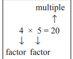 Factors and Multiples - CBSE Tuts