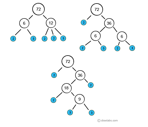 Factorization - CBSE Tuts