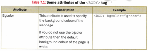 CBSE Notes for Class 7 Computer in Action - Basic HTML Tags - CBSE Tuts