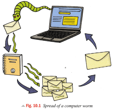 CBSE Notes for Class 5 Computer in Action - Computer Malware - CBSE Tuts