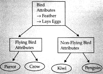 Important Questions for Class 12 Computer Science (Python) - Object ...