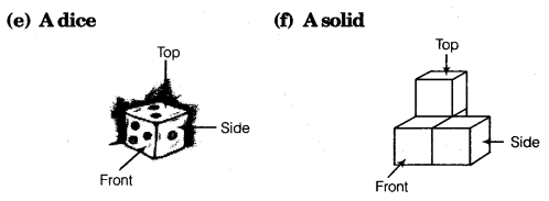 NCERT Solutions for Class 8 Maths Chapter 10 Visualising Solid Shapes ...