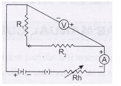 NCERT Class 10 Science Lab Manual - Ohm's Law - CBSE Tuts