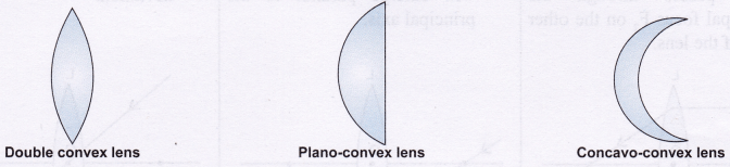 NCERT Class 10 Science Lab Manual Image Formation by a Convex Lens ...
