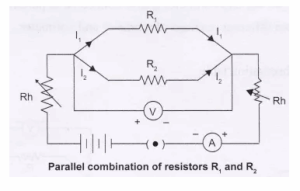 NCERT Class 10 Science Lab Manual Resistors in Parallel - CBSE Tuts