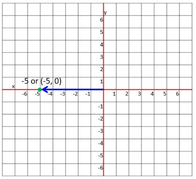 How do you graph the point on the coordinate plane? - CBSE Tuts