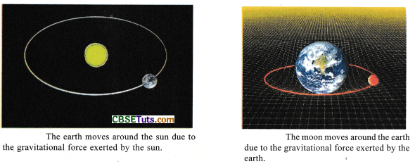 Gravitational Force Holds the Solar System - CBSE Tuts