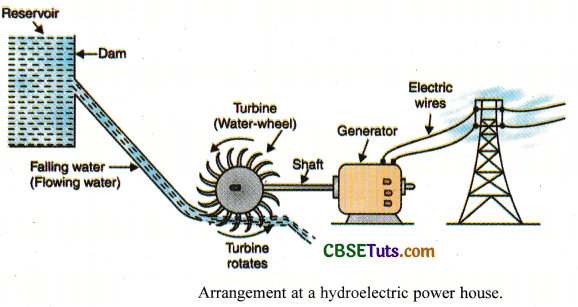 Transformation of Energy and Examples of Energy Converters - CBSE Tuts