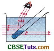Total Internal Reflection : Definition, Conditions and Solved Examples - CBSE Tuts