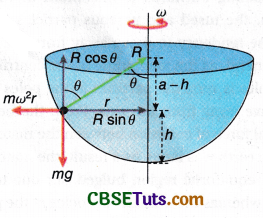 Centrifugal Force - Definition, Examples and Solved Examples - CBSE Tuts