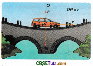 What is the Difference Between Linear and Angular Motion? - CBSE Tuts