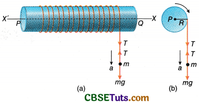 What is the Difference Between Rotational and Linear Motion? - CBSE Tuts