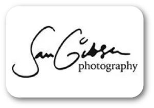 Conversion Perk - Hire PPC Expert for Google Ads, Amazon