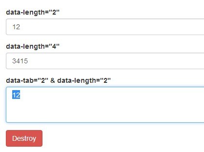 Pure JS Library For Auto Tab Text Fields | CSS Script