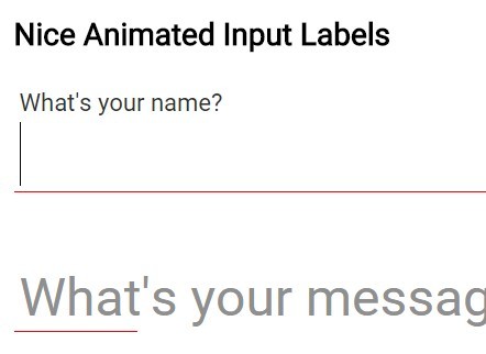 Nice Animated Input Labels with Pure CSS | CSS Script