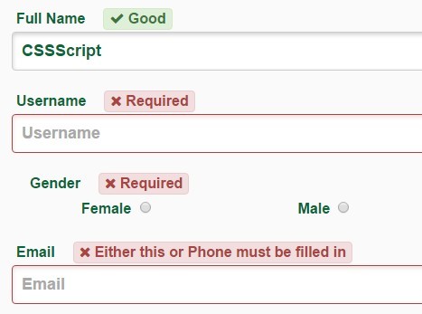 Simple Custom Form Validation JavaScript Library - JSFormValidation | CSS Script
