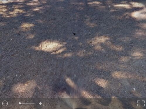 360 Degrees Panorama Image Viewer With Three.js - Photo Sphere Viewer | CSS Script