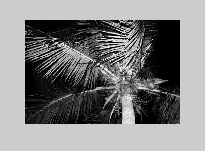 Medium-like Image Zoom In Pure JavaScript - zoom.js | CSS Script