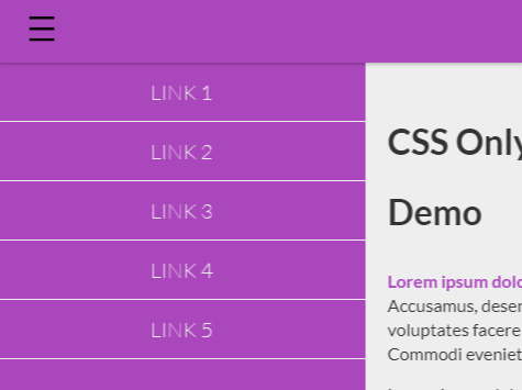 CSS Only Mobile Push Menu | CSS Script