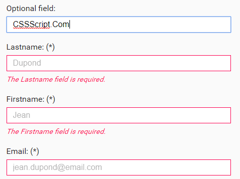 Custom HTML5 Data Validation | CSS Script