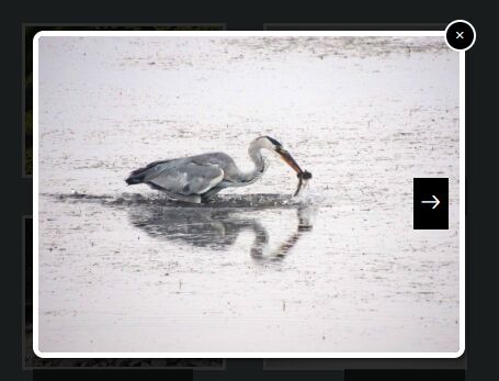 Elegant Image Lightbox Gallery In Vanilla JavaScript - kbox.js | CSS Script