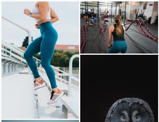 10 Best Javascript And Css Responsive Grid Layouts 2022 Update Css Script