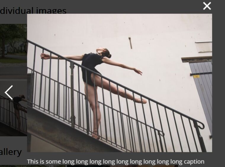 Image And Gallery Lightbox With Counter And Captions Lumenbox Css Script