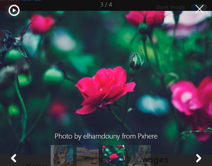 Advanced Image Gallery Viewer In Vanilla JavaScript - zoombox | CSS Script