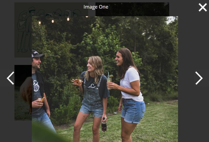 Tiny Image & Video Image Gallery Lightbox In JavaScript - Bilderrahmen | CSS Script