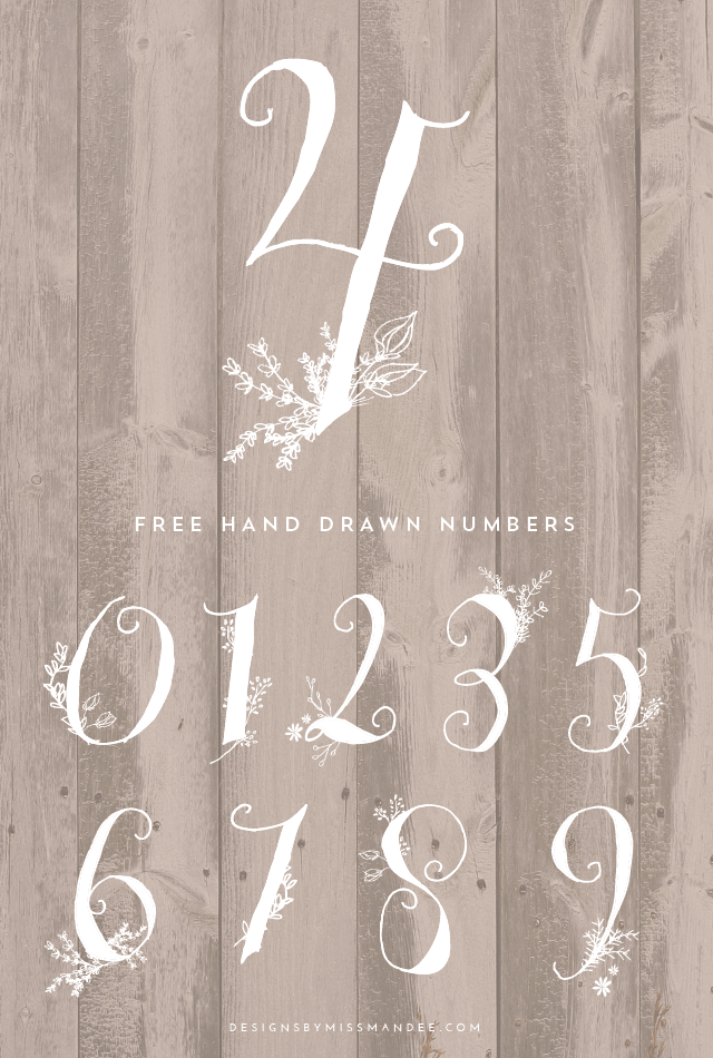 Stunning Hand Drawn Numbers | Designs By Miss Mandee