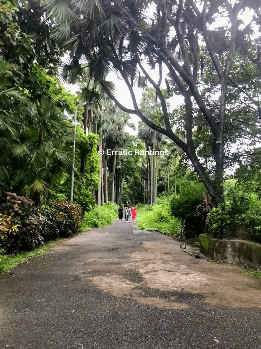Our Trip to the Botanical Garden - A Day With Nature - Red Velvet