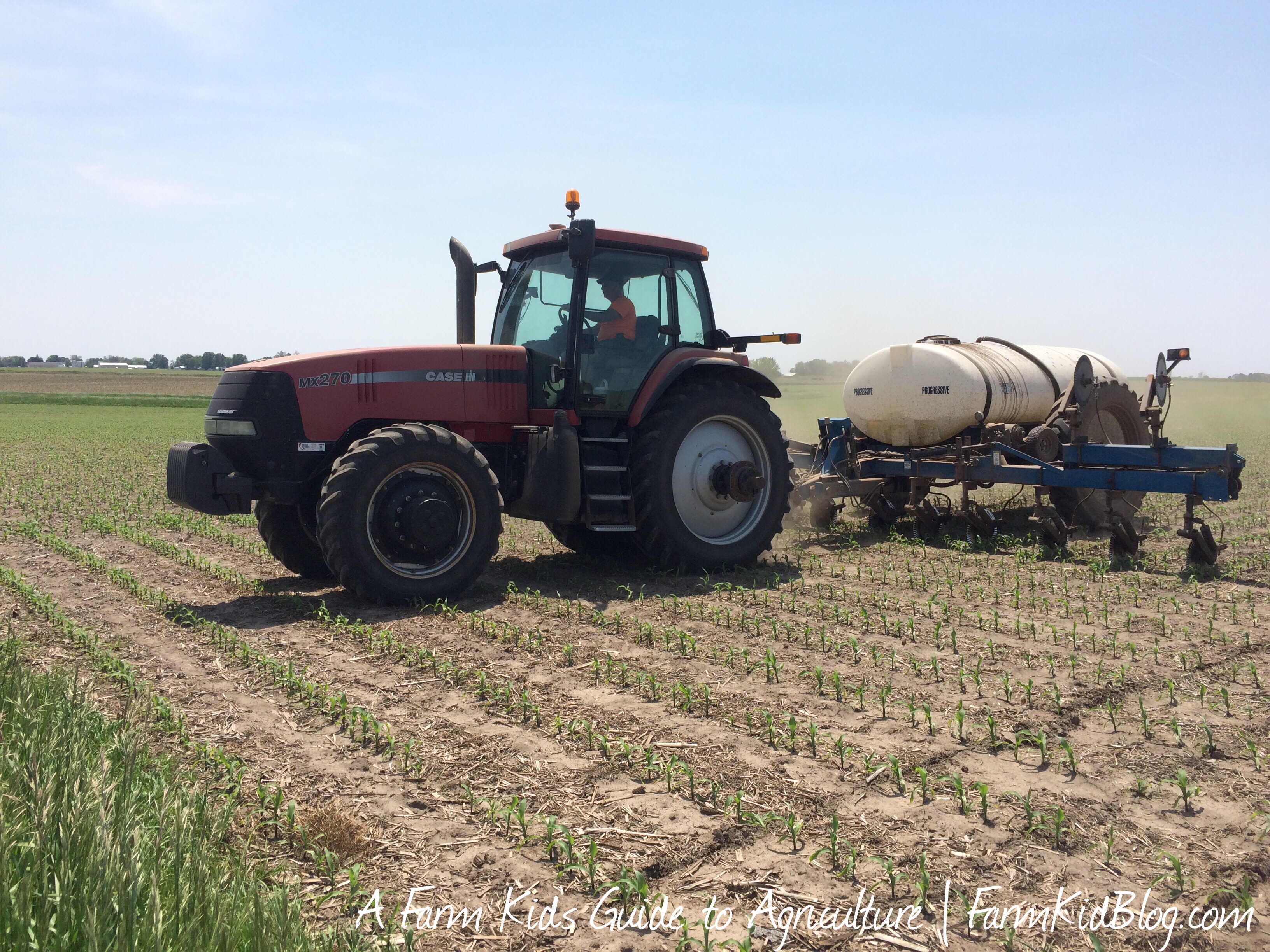 Side-Dressing Corn | A Farm Kid's Guide to Agriculture