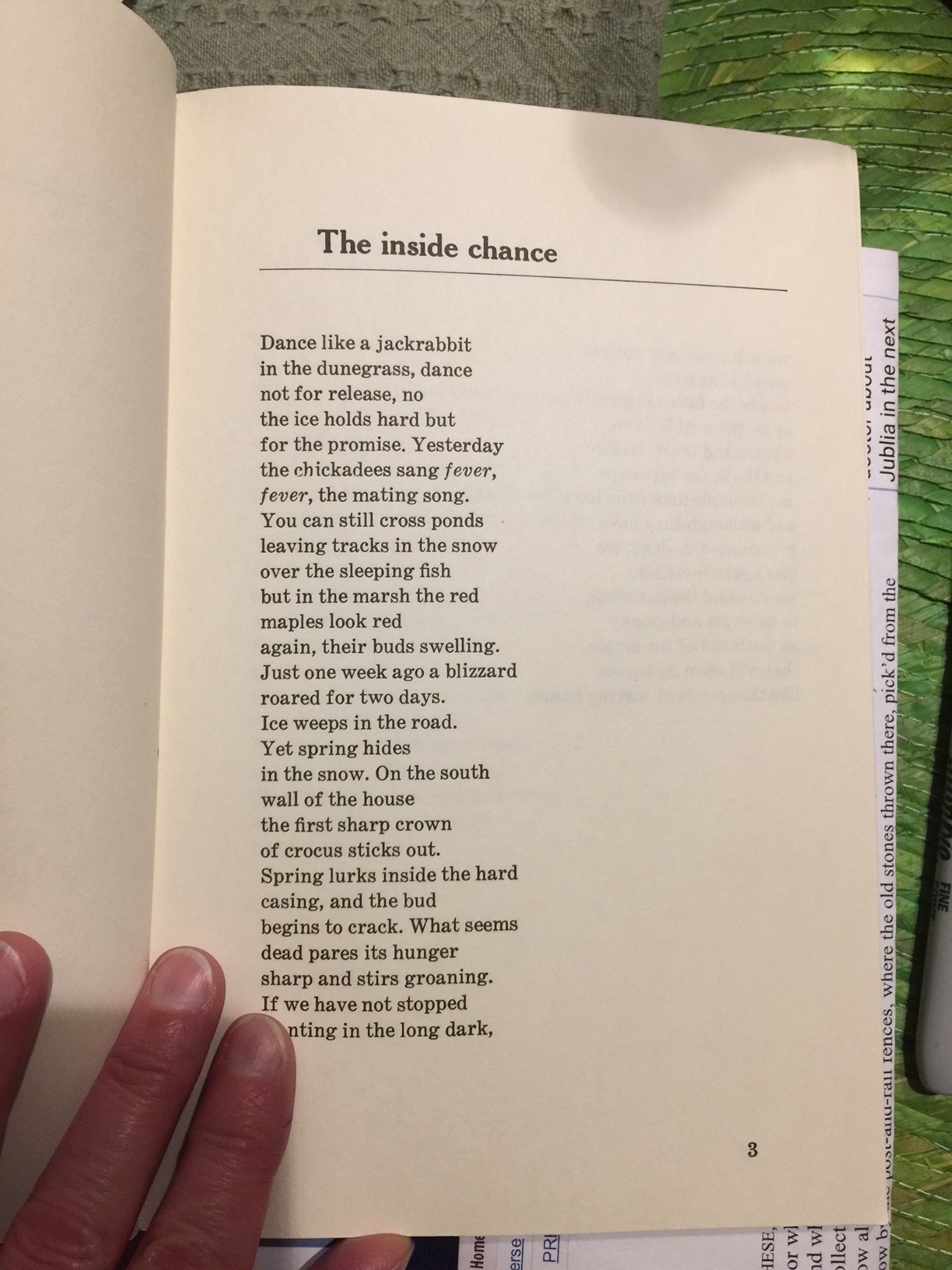 Mary Oliver’s poem Spring | FranGallo's Blog