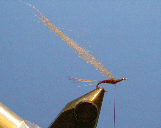 Gary Borger » Blog Archive » Loop Wing Dun