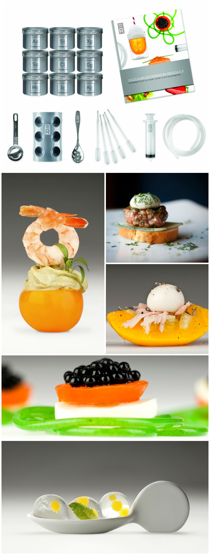 MOLECULE-R Deluxe Edition - a Study in Molecular Gastronomy - GetdatGadget