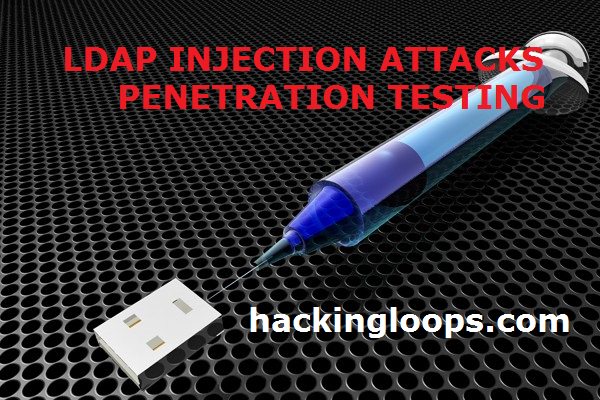 Penetration testing for LDAP Injection Vulnerability | Red Lizzrd