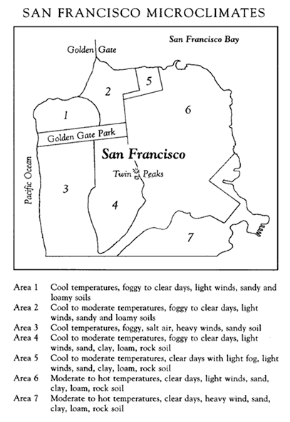 San Francisco Microclimates | Ari Salomon: WordPress Expert