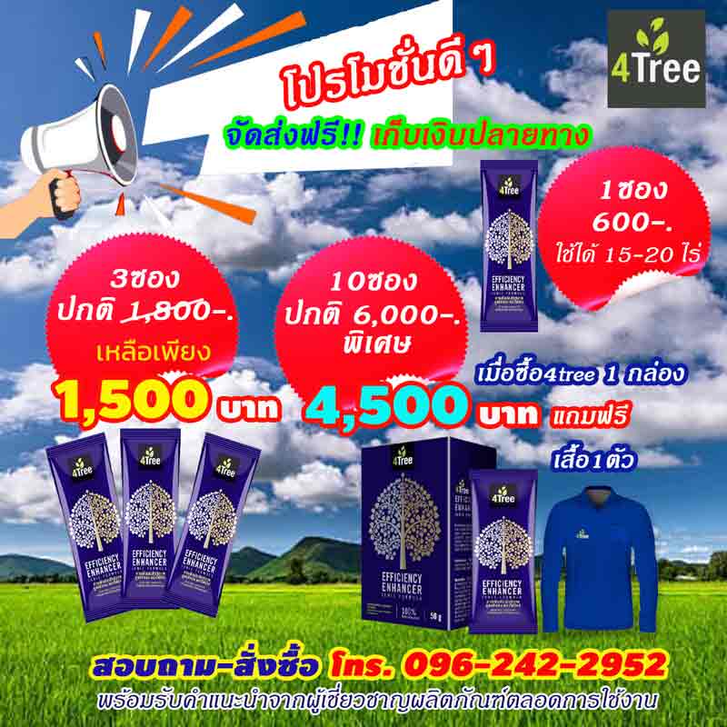 4tree ทำงานอย่างไร - นวัตกรรมสารเพิ่มประสิทธิภาพ เพื่อพืชพรรณทุกชนิด